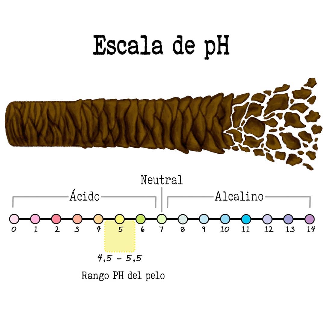 PH + Rizos. ¿Cómo se relacionan? ️- Mi Rizo Ideal